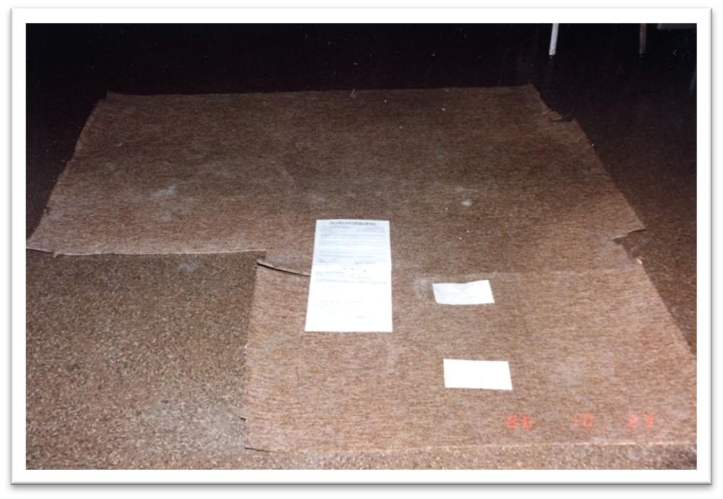 Cold Case: Debra Stone, 1984 | Rhode Island Attorney General's Office