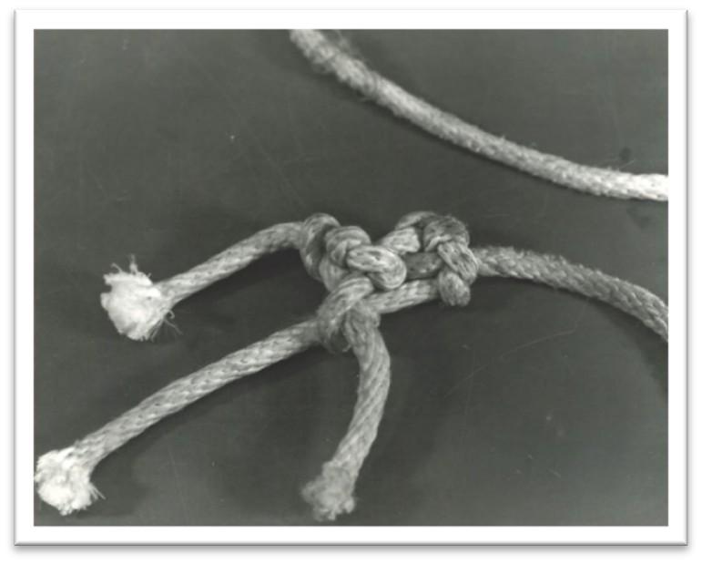 Cold Case: Debra Stone, 1984 | Rhode Island Attorney General's Office